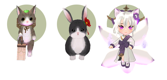 [미국] Apricot Blossom Box - 라바뉴의 마비노기