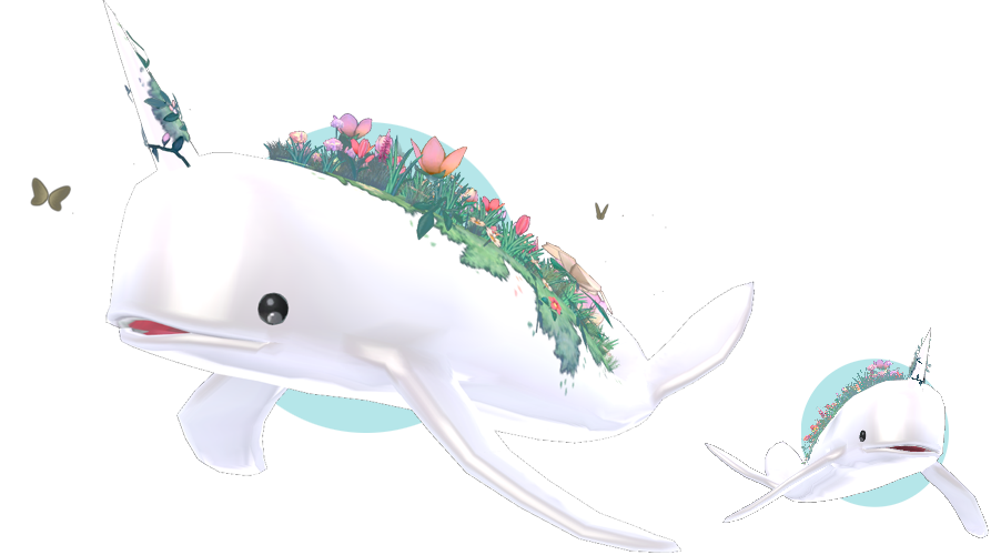 [미국] Ocean Traveler Pet Box - 라바뉴의 마비노기