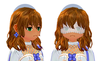 [미국] Hydrangea Box - 라바뉴의 마비노기